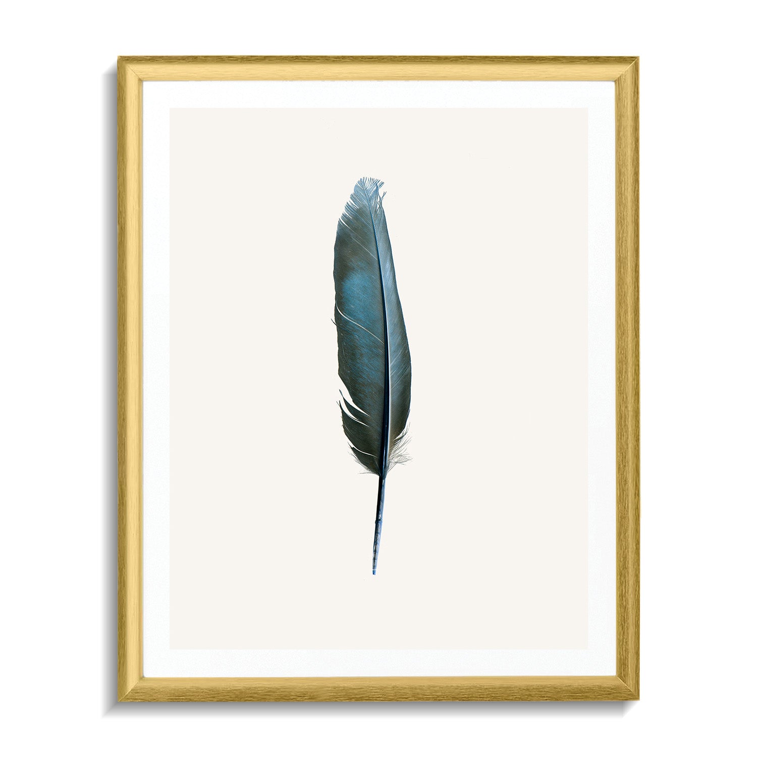 Feather IV – Calcuttan